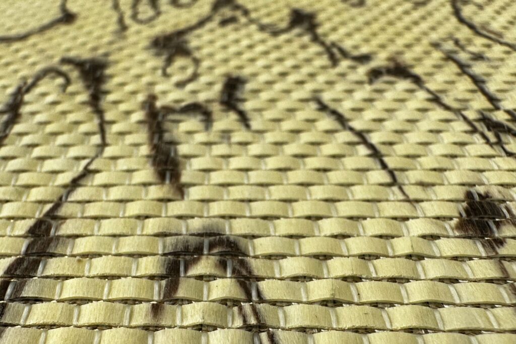 Icewood - cipango.jp