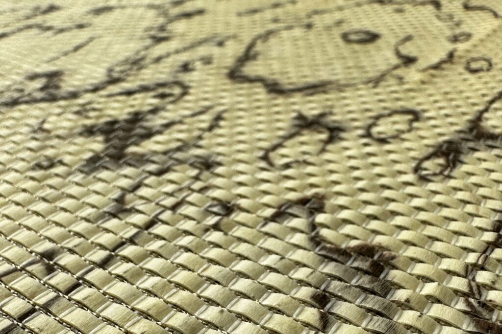 Icewood - cipango.jp