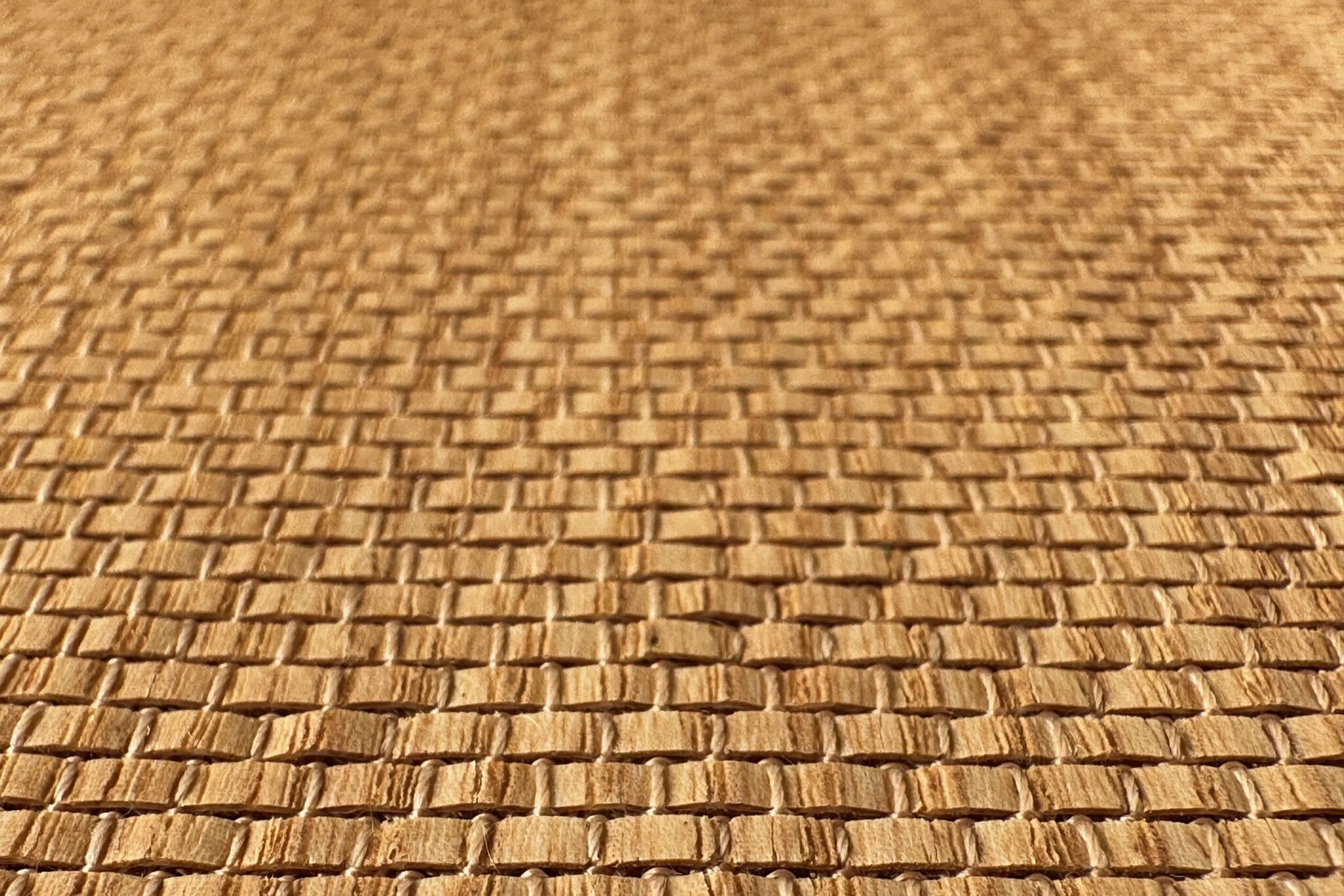 Japanese Ash - cipango.jp